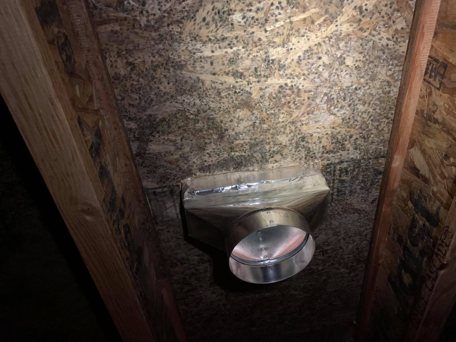 Mold Testing - Boise Idaho's Mold, Lead, and Asbestos Specialists ...